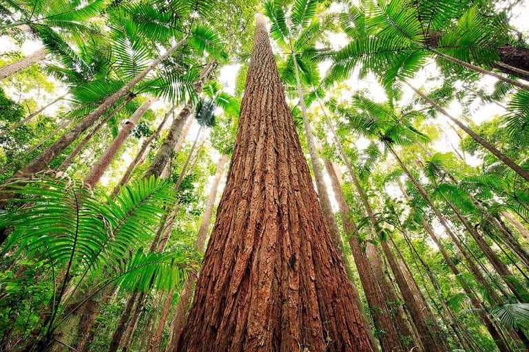 Fraser Island – Peter Meyer Photography